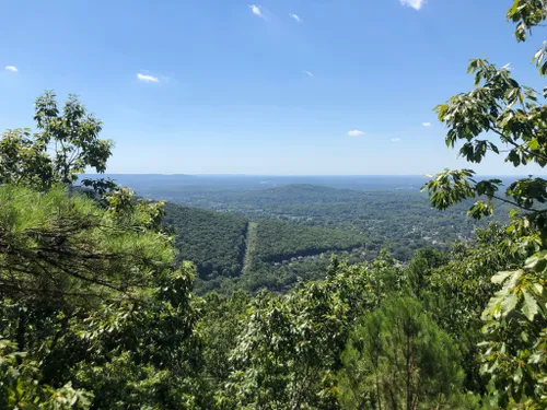 10 Best Hikes and Trails in Blevin's Gap Nature Preserve | AllTrails