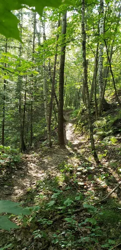Best Hikes and Trails in Maple Hill Park | AllTrails