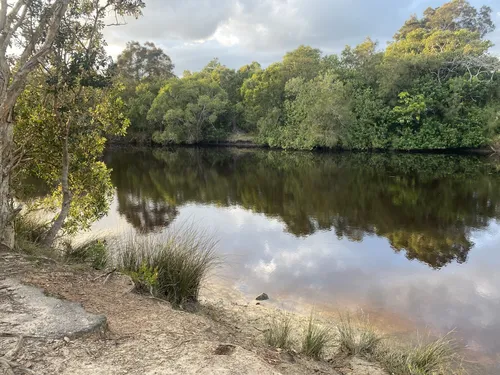 10 Best Walking Trails in Noosa Shire | AllTrails