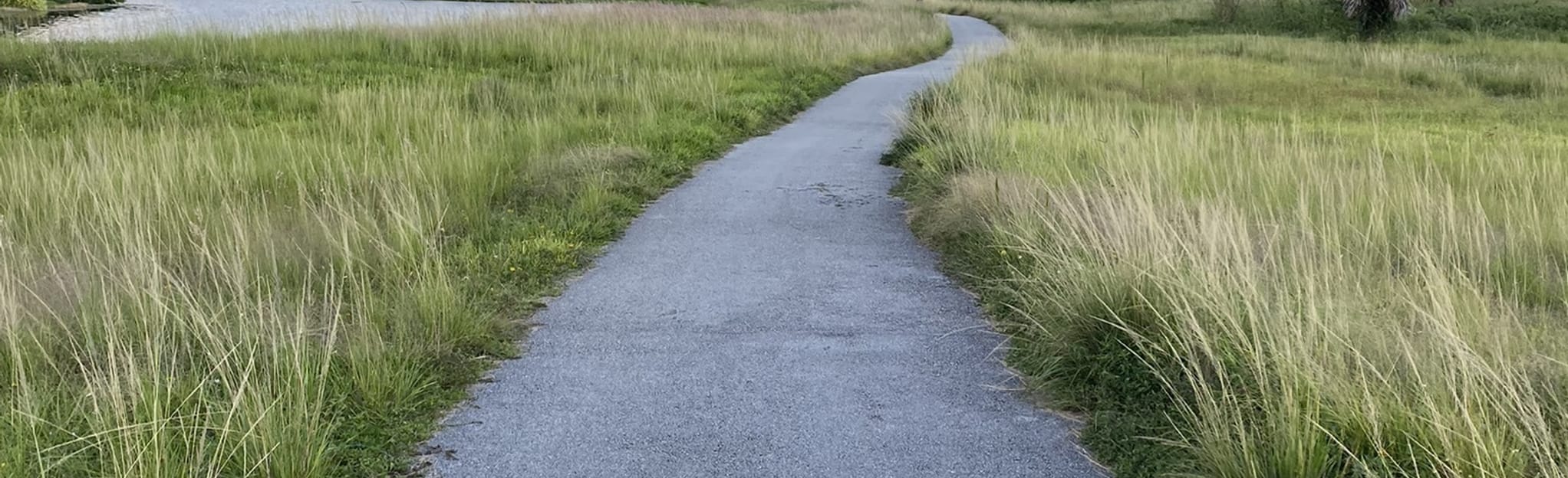 Fontainebleau Boulevard Path: 51 Reviews, Map - Florida | AllTrails