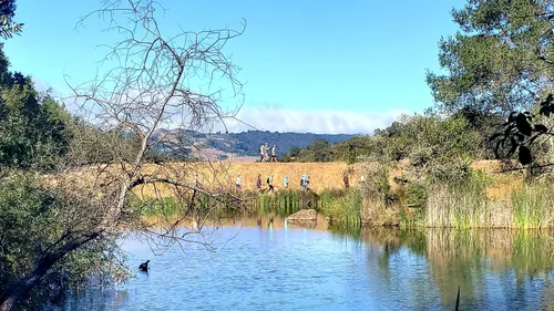 Best Hikes and Trails in Coal Mine Ridge Nature Preserve of Portola ...