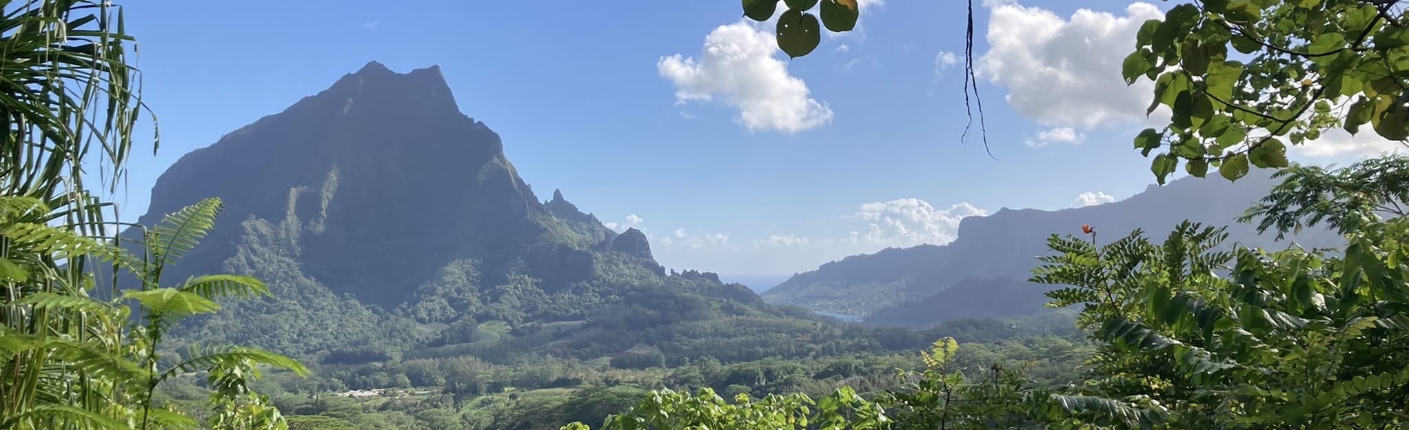 Marae Titiaroa Belvedere and 3 Cocotiers Loop: 328 foto - Moorea ...