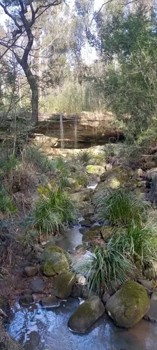 Best Hikes and Trails in Nowra State Forest | AllTrails