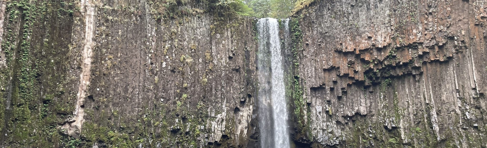 Abiqua Falls from Crooked Finger OHV Area, Oregon - 194 Reviews, Map ...