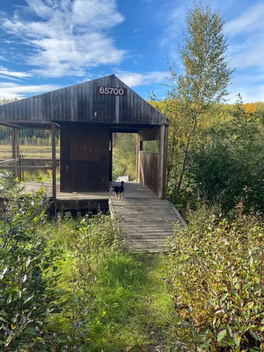 Best Lake Trails in Joint Base Elmendorf-Richardson | AllTrails