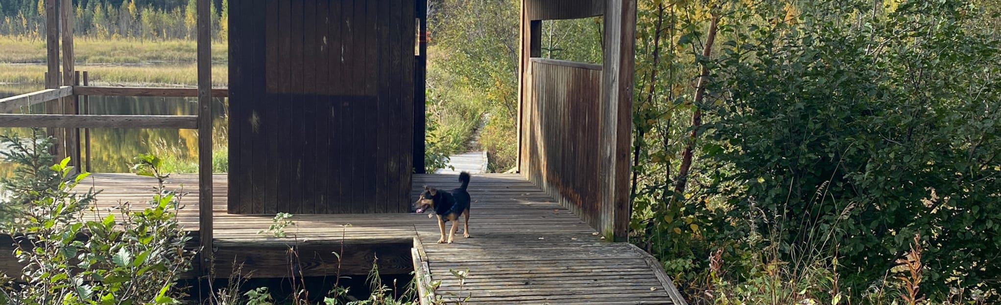 Otter Lake, Alaska - 25 Reviews, Map | AllTrails