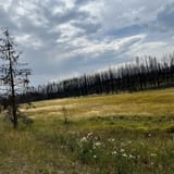 Trail Ridge Road, Colorado - 517 Reviews, Map | AllTrails