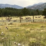 Trail Ridge Road, Colorado - 517 Reviews, Map | AllTrails