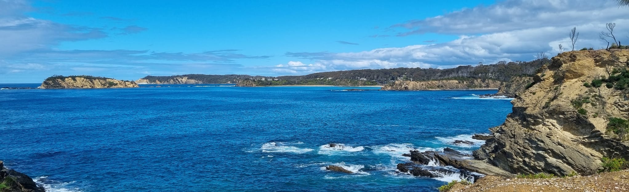 Pretty Point Walk: 15 Reviews, Map - New South Wales, Australia | AllTrails