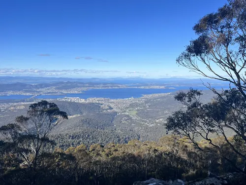 10 Best Trails and Hikes in Fern Tree | AllTrails