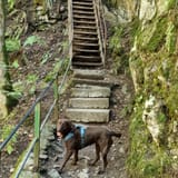 Ravenna Gorge Trail, Baden-Wuerttemberg, Germany - 327 Reviews, Map ...