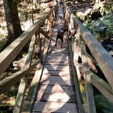 Ravenna Gorge Trail, Baden-Wuerttemberg, Germany - 327 Reviews, Map ...