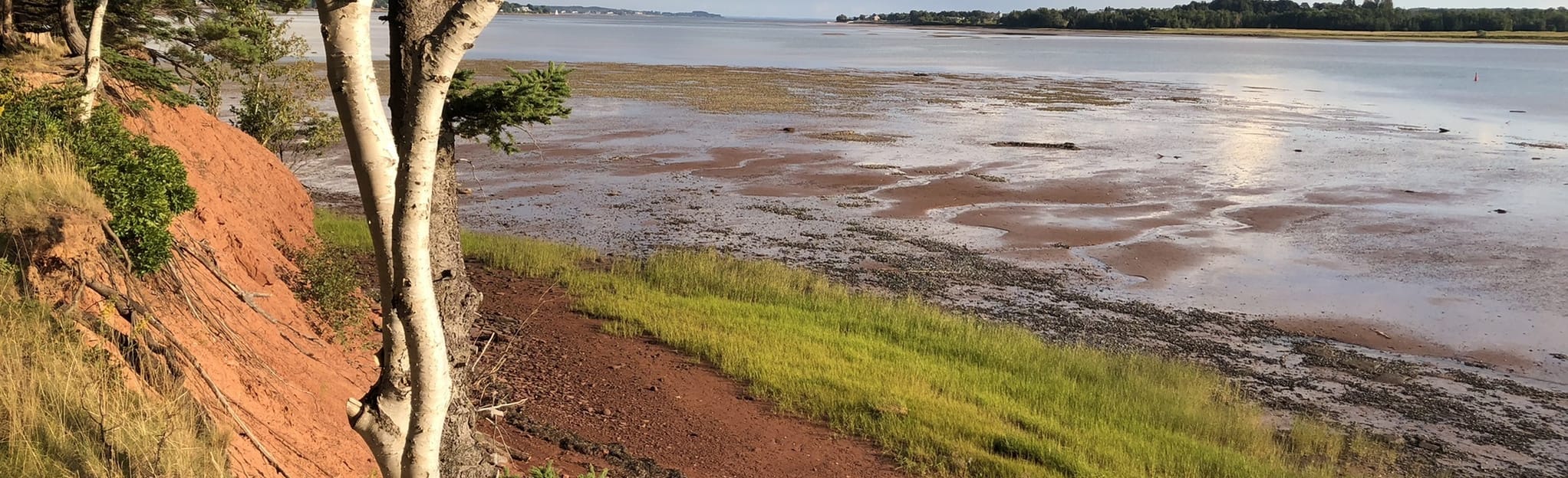 Beach Grove Nature Trail: 53 Reviews, Map - Prince Edward Island ...