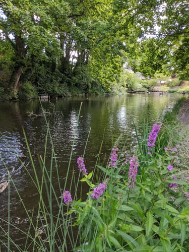 Best Hikes and Trails in Weston Turville Reservoir | AllTrails