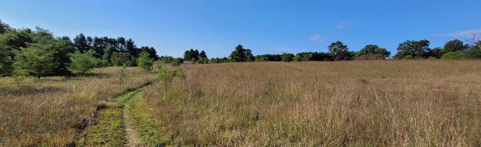 Ice Age Trail: Mecan Springs Segment, Wisconsin - 108 Reviews, Map ...