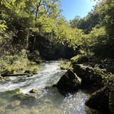 Greer Spring Trail, Missouri - 316 Reviews, Map | AllTrails