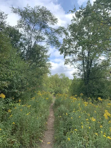 Best Easy Trails in Guelph Lake Conservation Area | AllTrails