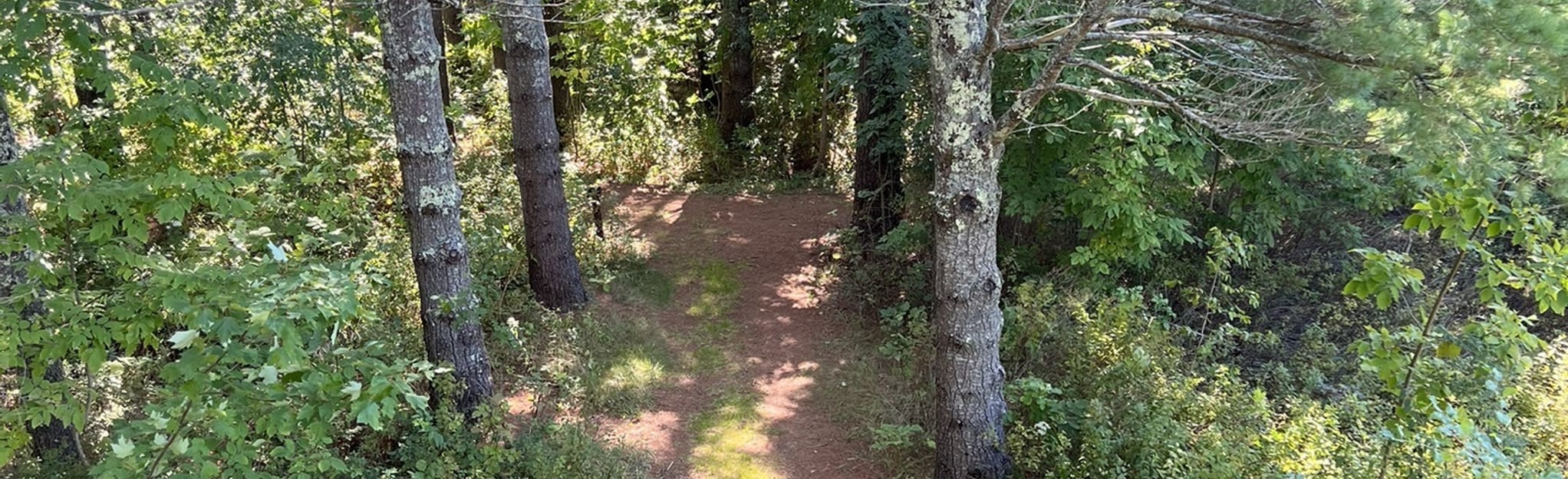 Lamoine State Park Campground: 41 Reviews, Map - Maine | AllTrails