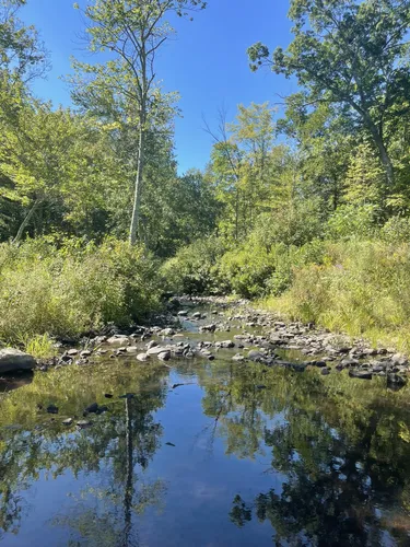 10 Best Hikes and Trails in Meshomasic State Forest | AllTrails