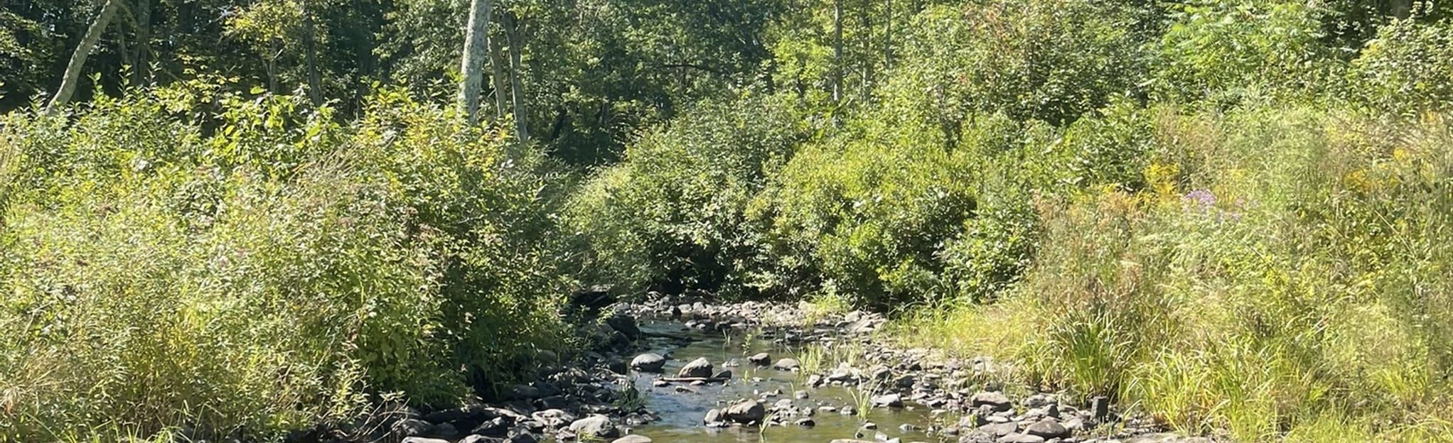 Red Blazes, Blue Blazes, and Blackledge Falls Loop, Connecticut - 64 ...