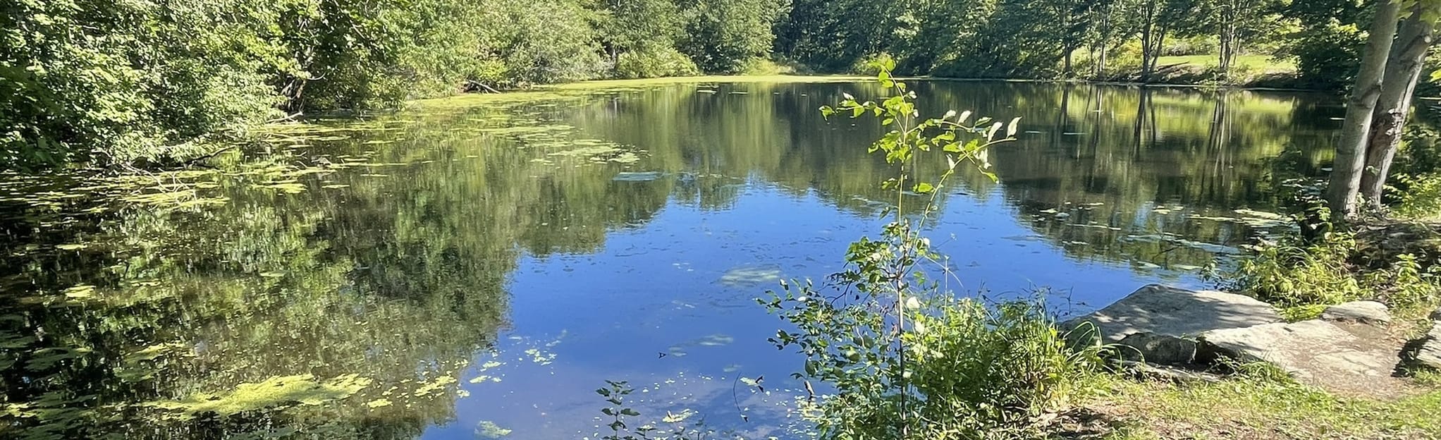 Quillinan Reservoir Perimeter Loop: 95 Reviews, Map - Connecticut ...