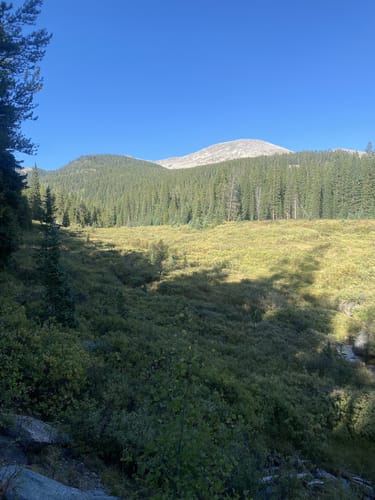 Best Hikes and Trails in Fossil Ridge Recreation Management Area ...