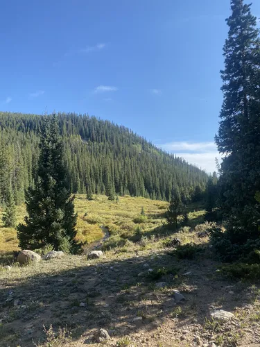 Best Hikes and Trails in Fossil Ridge Recreation Management Area ...