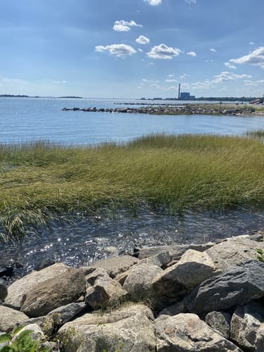 Best Hikes and Trails in Calf Pasture Beach Park | AllTrails