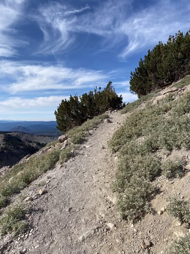 Best Hikes and Trails in Getty View Park | AllTrails