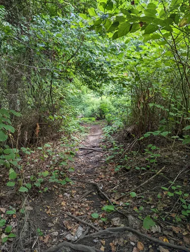 Best Hikes and Trails in Valley Stream State Park | AllTrails