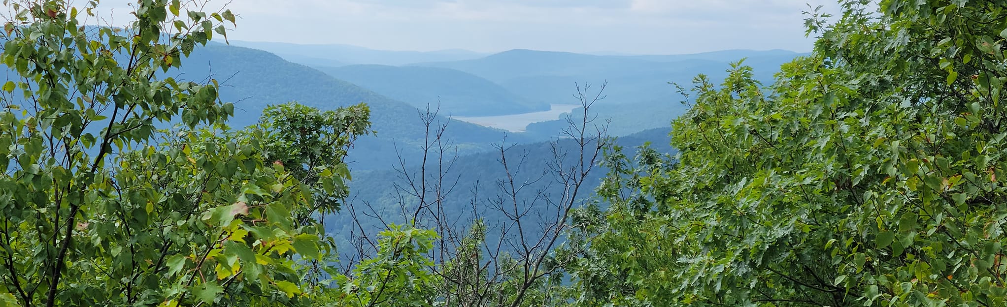 Dry Brook Ridge and German Hollow Trail, New York - 46 Reviews, Map ...