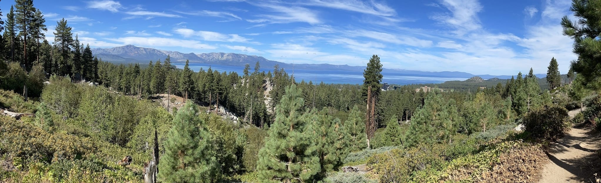 Saddle to Ski Run Trail: 343 Reviews, Map - California | AllTrails