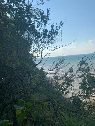 Best Hikes and Trails in Hamlin Beach State Park | AllTrails