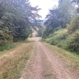 Tolt Pipeline Trail, Washington - 353 Reviews, Map | AllTrails