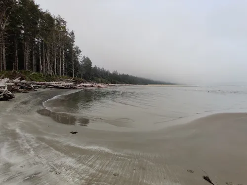 10 Best Walking Trails in Pacific Rim National Park Reserve | AllTrails