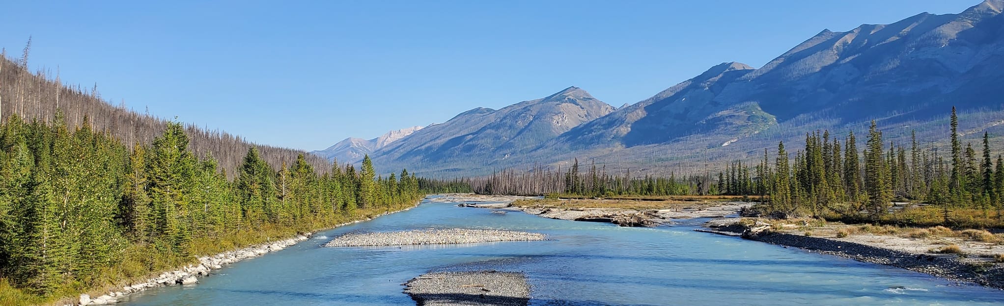Simpson River Trail: 83 foto's - Brits-Columbia, Canada | AllTrails