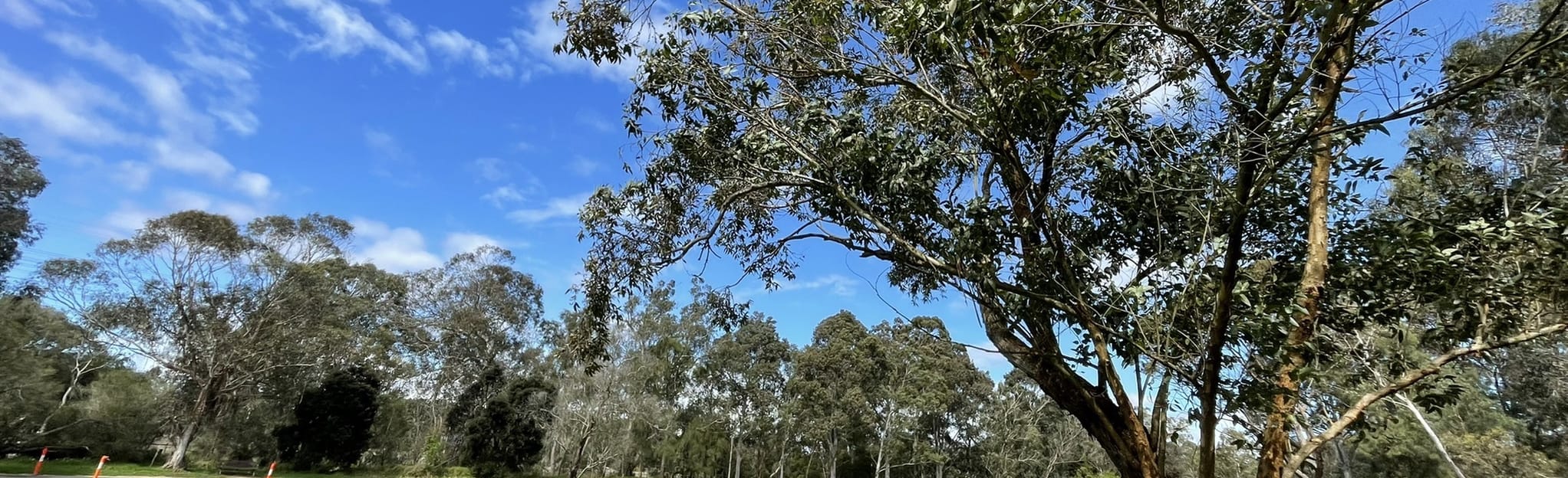 Campbells Croft Reserve Loop: 1 Reviews, Map - Victoria, Australia ...