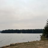 Timothy Lake Loop, Oregon - 290 Reviews, Map | AllTrails