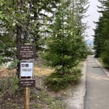 Timothy Lake Loop, Oregon - 290 Reviews, Map | AllTrails