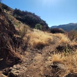 Confluence Trail, California - 626 Reviews, Map | AllTrails