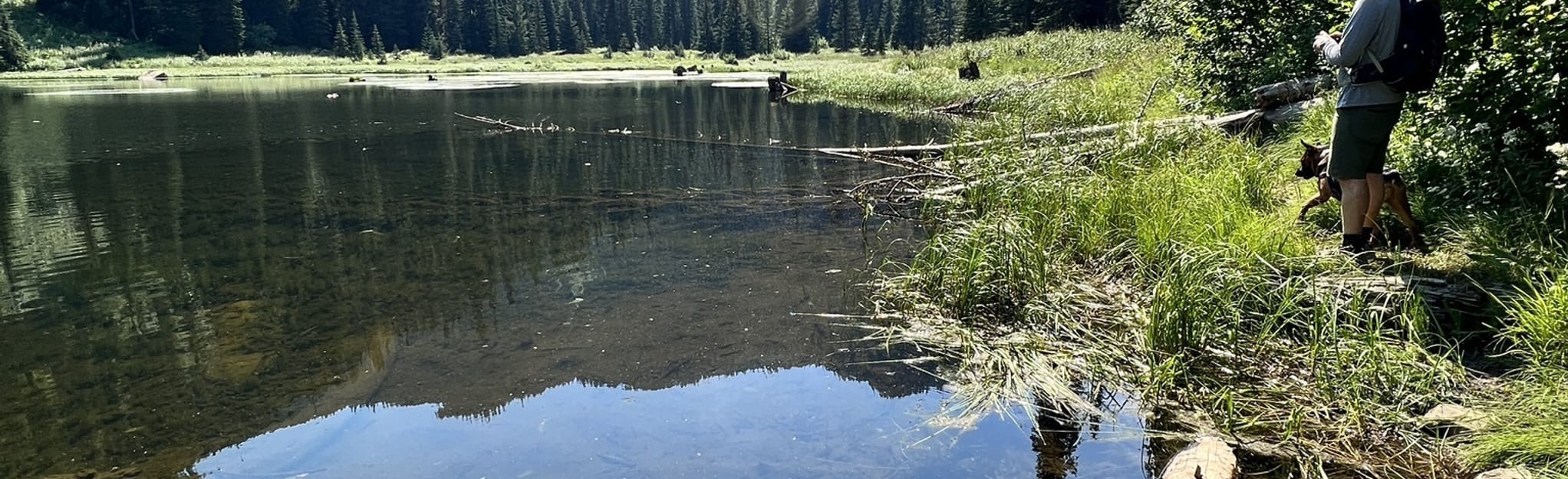 Copper Lake Trail #265: 27 Reviews, Map - Montana | AllTrails
