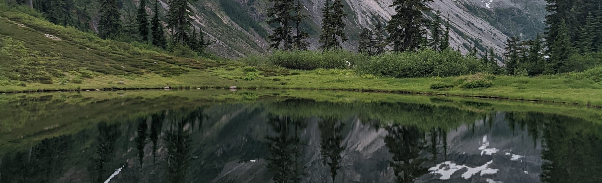 Heather Meadows and Artists Point Trail: 381 Reviews, Map - Washington ...