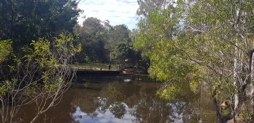 Beste wandelingen en routes in Haig Street Quarry Bushland Reserve ...