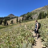 Coldstream Road to PCT [PRIVATE PROPERTY], California - 18 Reviews, Map ...