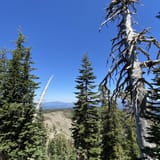 Coldstream Road to PCT [PRIVATE PROPERTY], California - 18 Reviews, Map ...