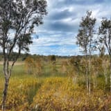 Deagon Wetlands Loop, Queensland, Australia - 32 Reviews, Map | AllTrails