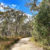 Deagon Wetlands Loop, Queensland, Australia - 32 Reviews, Map | AllTrails