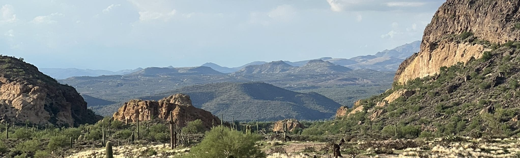 Bulldog Canyon to Bush Hwy - Arizona | AllTrails