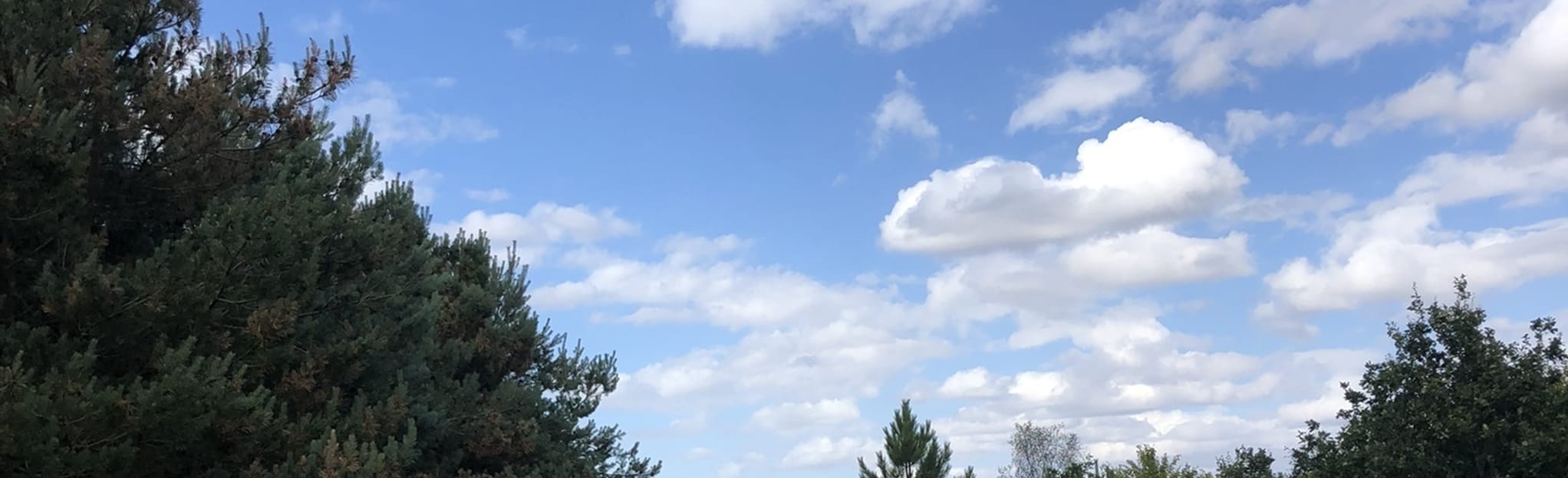 Calverton Pit Top Circular, Nottinghamshire, England - 73 Reviews, Map ...