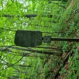 Jacks Knob Trail, Georgia - 135 Reviews, Map | AllTrails